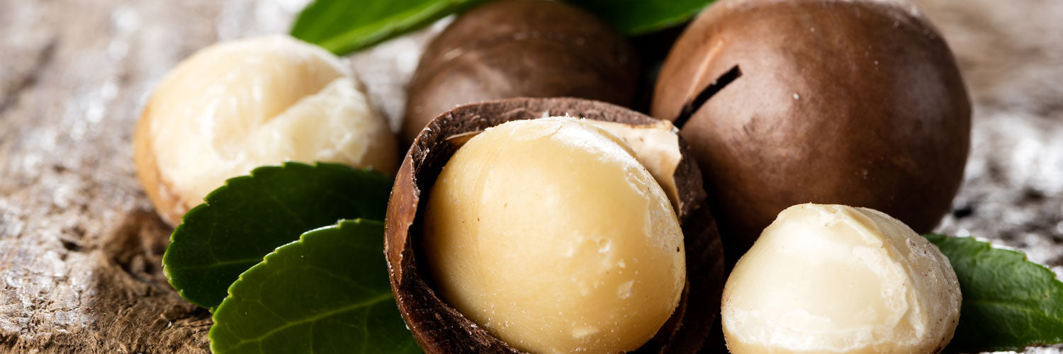 Macadamia – Queen der Nüsse